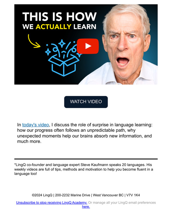 LingQ: What progress actually looks like in language learning | Milled