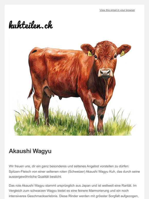 Kuhteilen: Exklusiv: seltene rote Fullblood Akaushi Wagyu-Kuh zum ...