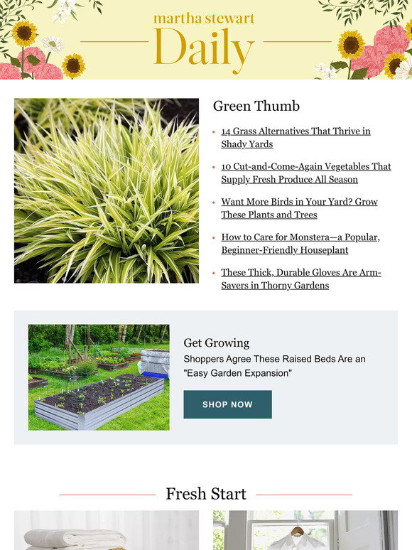 Martha Stewart: 14 Grass Alternatives That Thrive in Shady Yards | Milled
