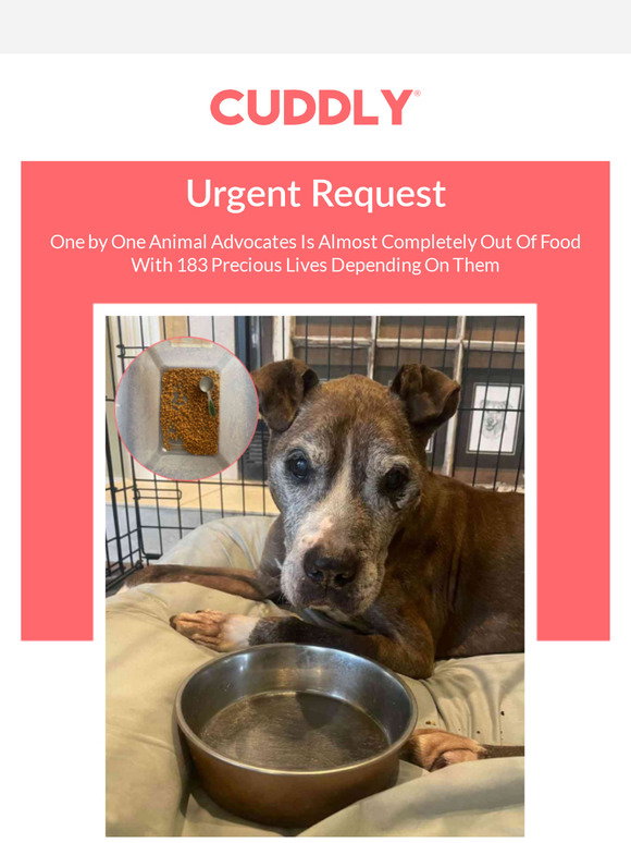 CUDDLY: EMERGENCY: 180+ Animals Are In Urgent Need Of Food | Milled