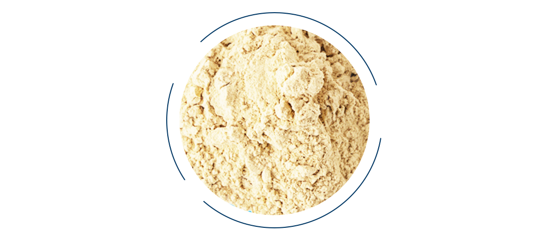 BIOHM Health: Probiotics vs. Prebiotics: Key Differences Explained | Milled BIOHM Health: Probiotics vs. Prebiotics: Key Differences Explained | Milled