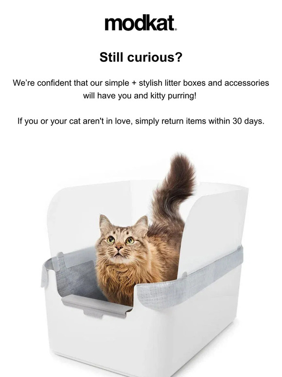 Modkat: 🖤🐈 Meow, curious cat | Milled