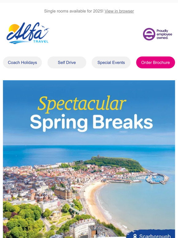 Alfa Travel: Spectacular Spring Breaks 🚌 | Milled