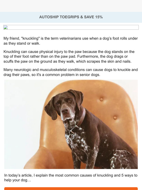 Dr. Buzby's ToeGrips: What is knuckling in dogs? | Milled