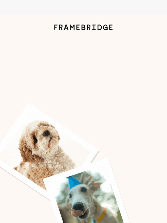Framebridge: Happy National Dog Day 🐾 | Milled