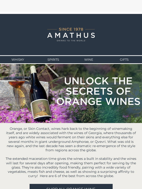 Amathus Drinks: Explore the Rich and Complex World of Orange Wines 🧡 ...