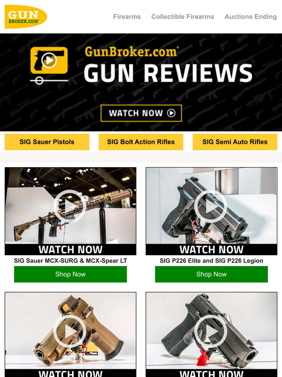 GunBroker: Best of SIG Sauer: MCX, P365, M17 vs M17X, MCX Spear, P320 and More! | Milled