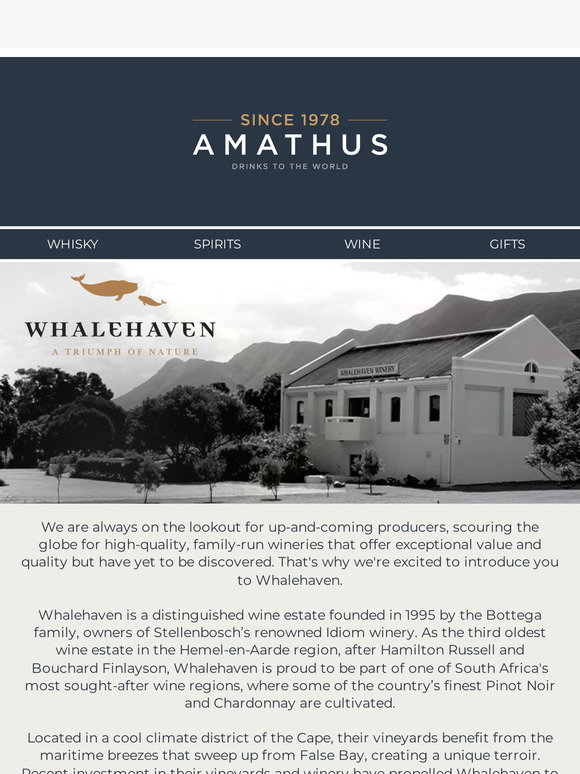 Amathus Drinks: Discover Whalehaven: Wines from South Africa’s Most ...