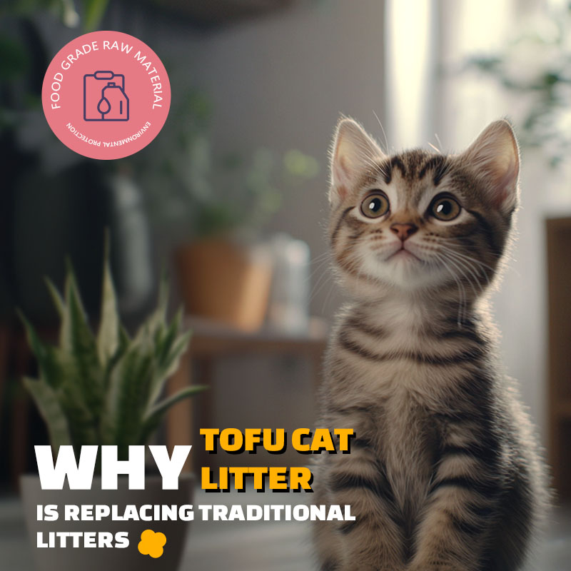 Happy & Polly: 🌟 Why Tofu Cat Litter Is Replacing Traditional Litters ...