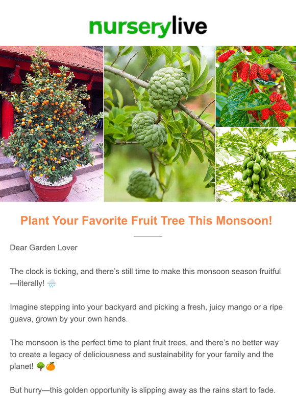 Nurserylive: 🍎🍋 What’s Your Favorite Fruit? 🌳 Plant It Before the ...