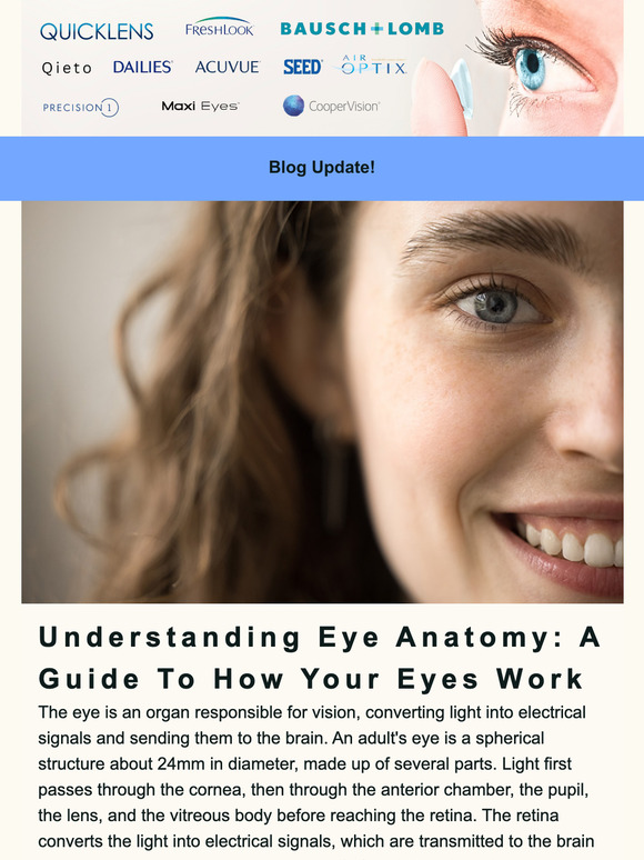 Quicklens: Understanding Eye Anatomy: A Guide To How Your Eyes Work 👁️ | Milled