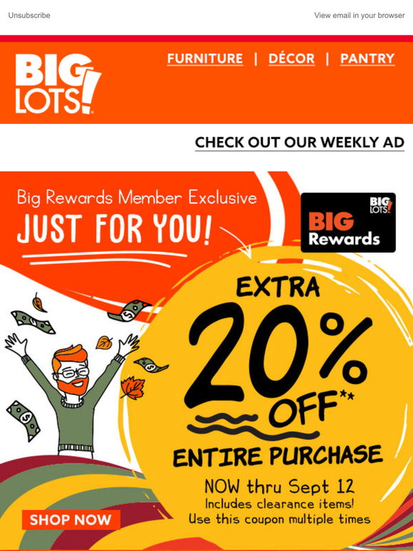 Big Lots: Coupon Inside! Extra 20% off your entire purchase! | Milled