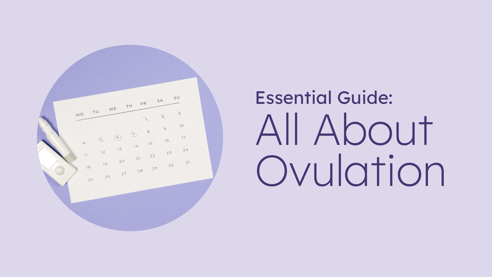 Proov: ️ Essential Guide: All About Ovulation | Milled