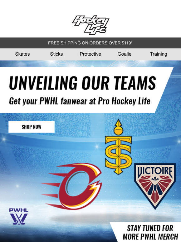 Pro Hockey Life: New PWHL team names and logos revealed | Milled