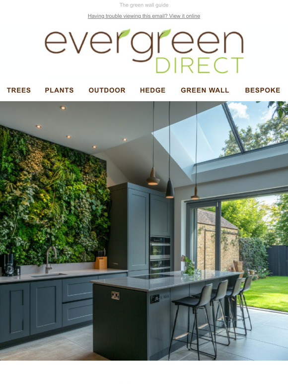 evergreen direct: The statement backdrop! | Milled
