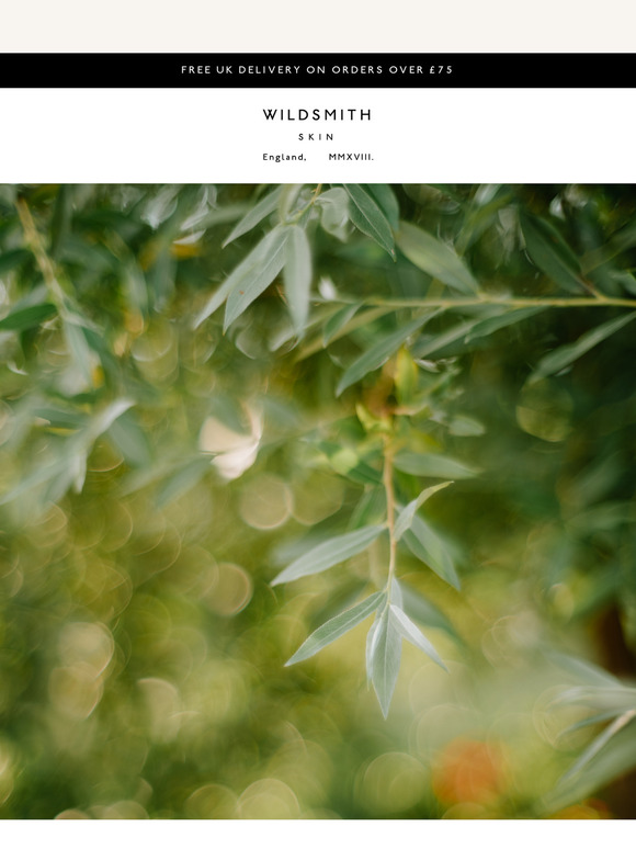 Wildsmith Skin: What is Radical Botany? | Milled