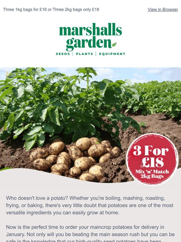 Birds & Bees: Secure Your 2024 Main Crop Potatoes & Beat the Rush | Milled
