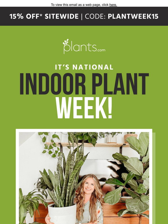 Plants.com: 15% Off Sitewide: It's Indoor Plant Week | Milled