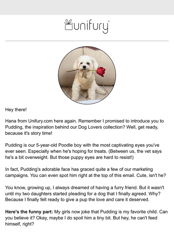 Unifury: Meet Pudding: The Poodle Behind Our Dog Lover Collection | Milled