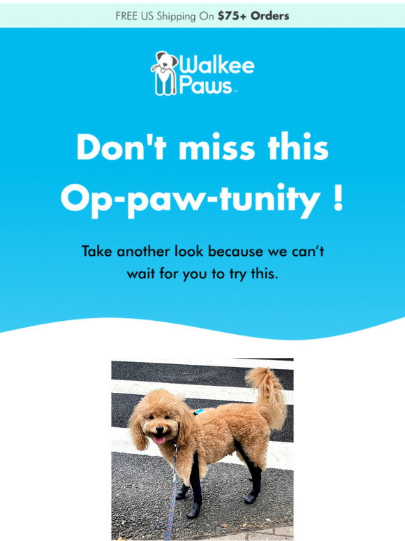 Walkee Paws: Looks like we're playing fetch | Milled