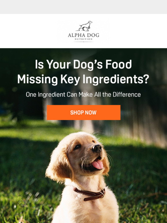 Alpha Dog Nutrition: 6 ingredients your dog needs | Milled