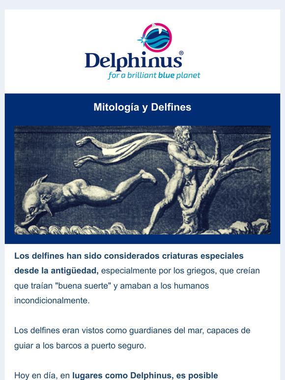 Delphinus: Estos son los mitos y leyendas que conectan a los delfines ...