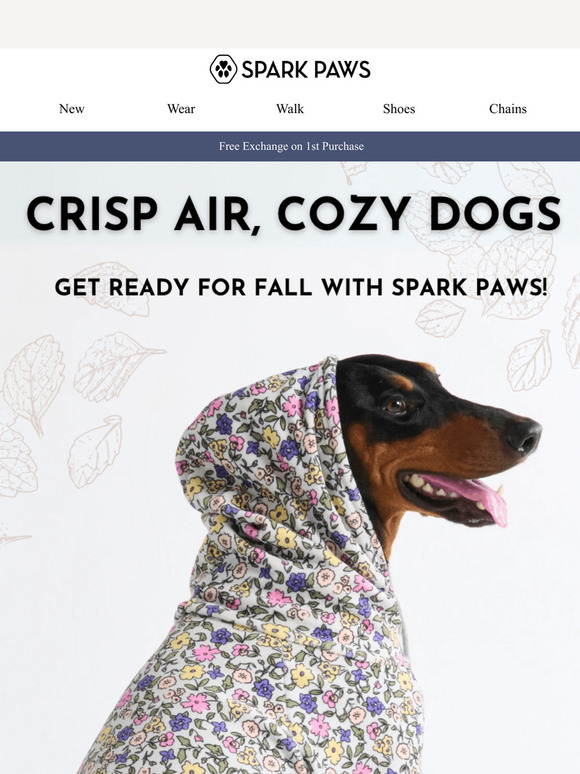 Spark Paws: Crisp Air, Cozy Dogs! 🐶 | Milled
