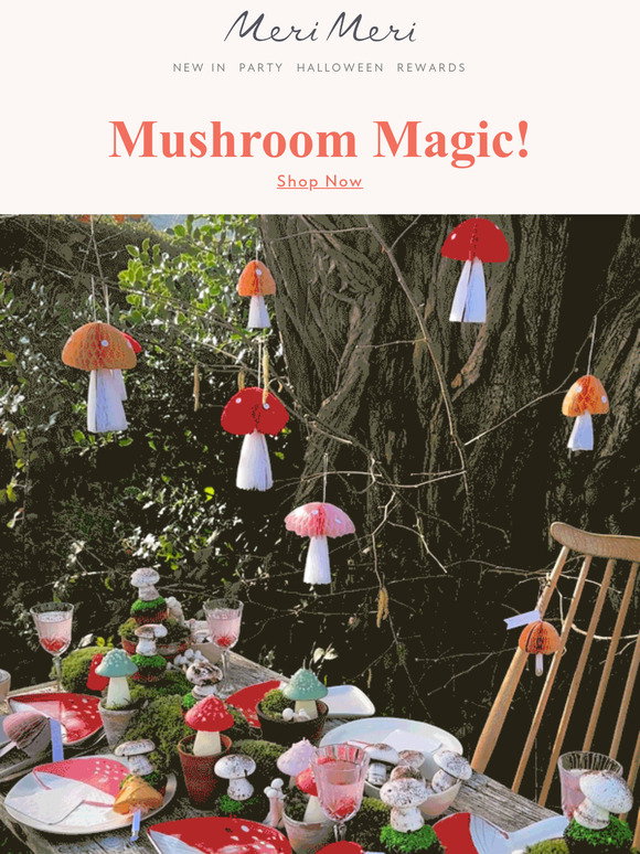 Meri Meri: Trend Alert: Mushroom Mania! 🍄 | Milled