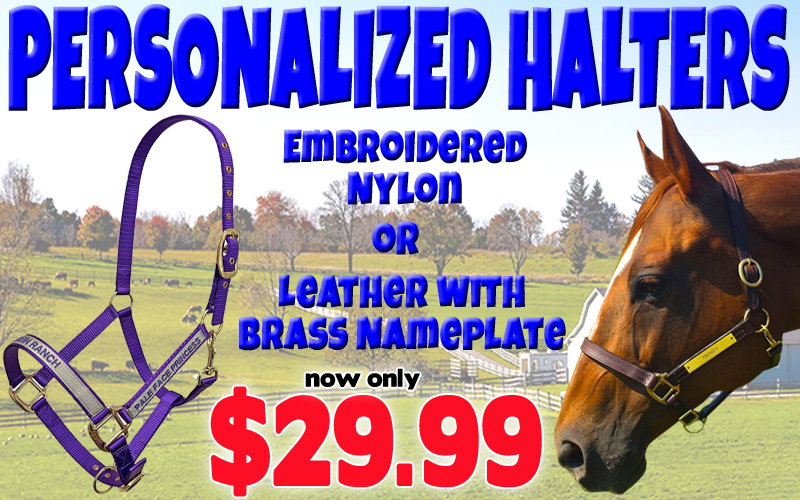 chick's discount saddlery us: Personalized Halters $29.99 🐴 | Milled