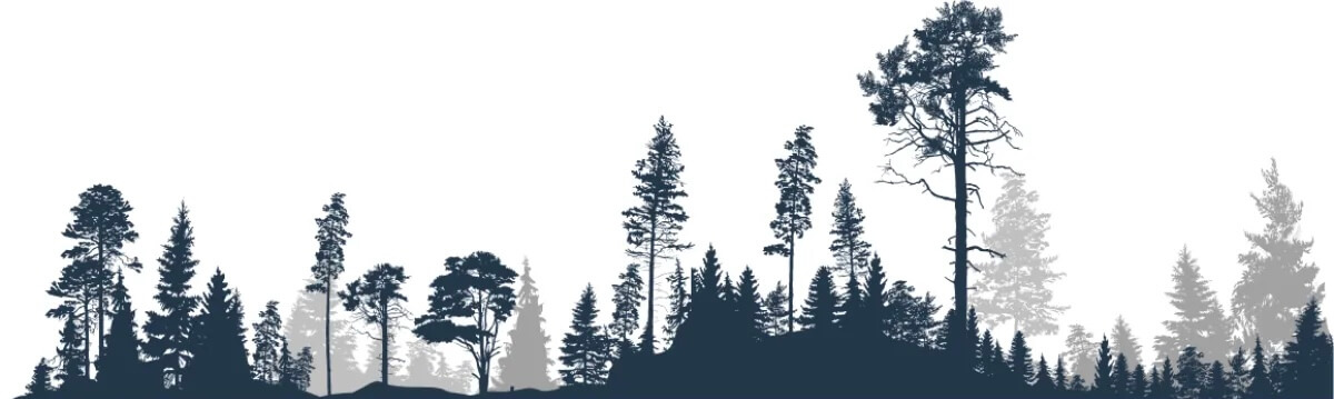 LogOX: 🌲 Is Your Backyard a Goldmine? Discover Profitable Sawmilling ...