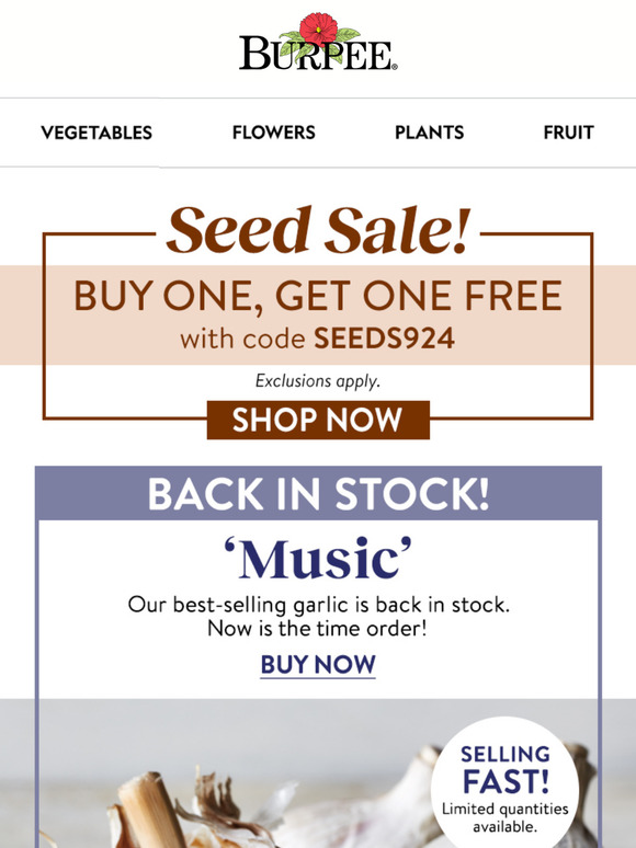 Burpee: 'Music' Garlic - Back in Stock! | Milled