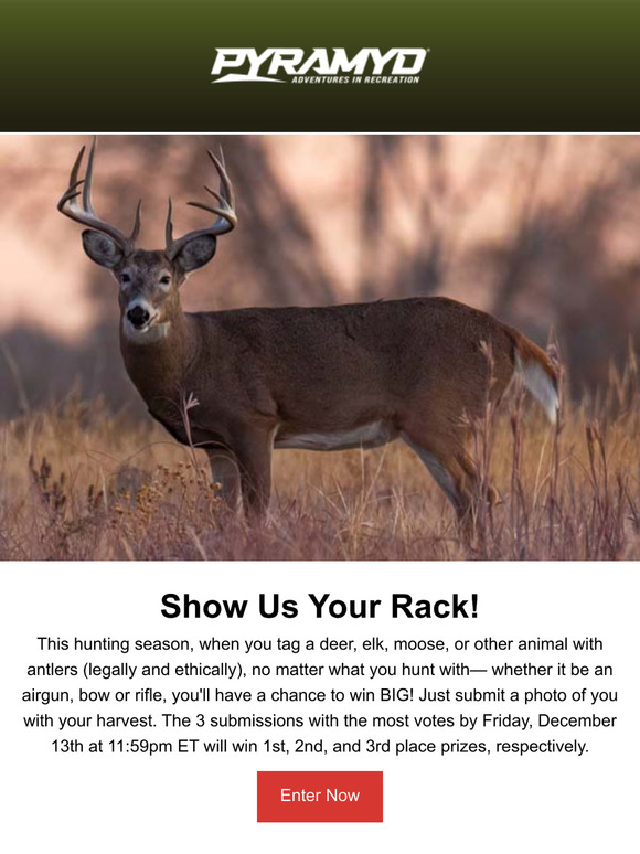 Pyramyd Air: Show Us Your Rack! | Milled