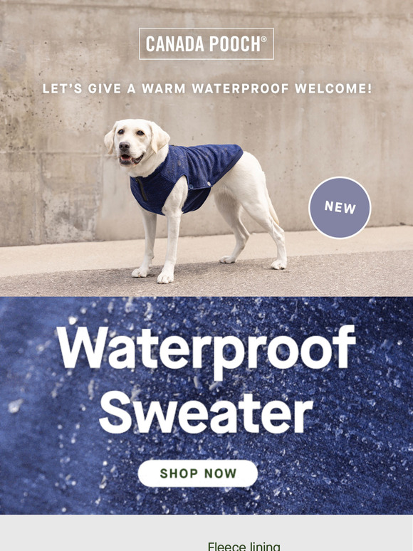 Canada Pooch: Our NEW Waterproof Sweater has Landed! | Milled