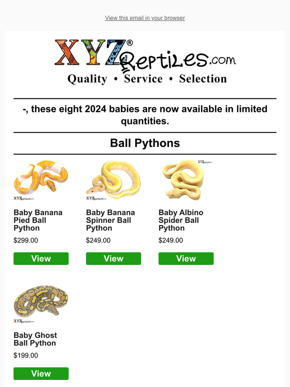 XYZReptiles: 🐍 8 New Baby Ball Python Morphs Available | Milled