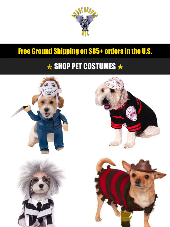 Abracadabra: Spooky n' Scary Dog Costumes! 🐶👻 | Milled