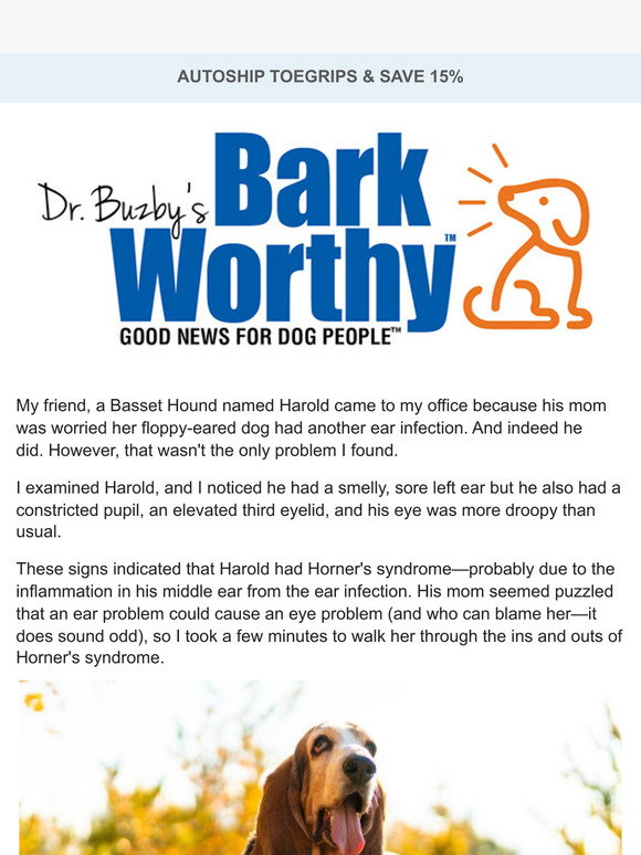 Dr. Buzby's ToeGrips: What is Horner’s syndrome in dogs? | Milled