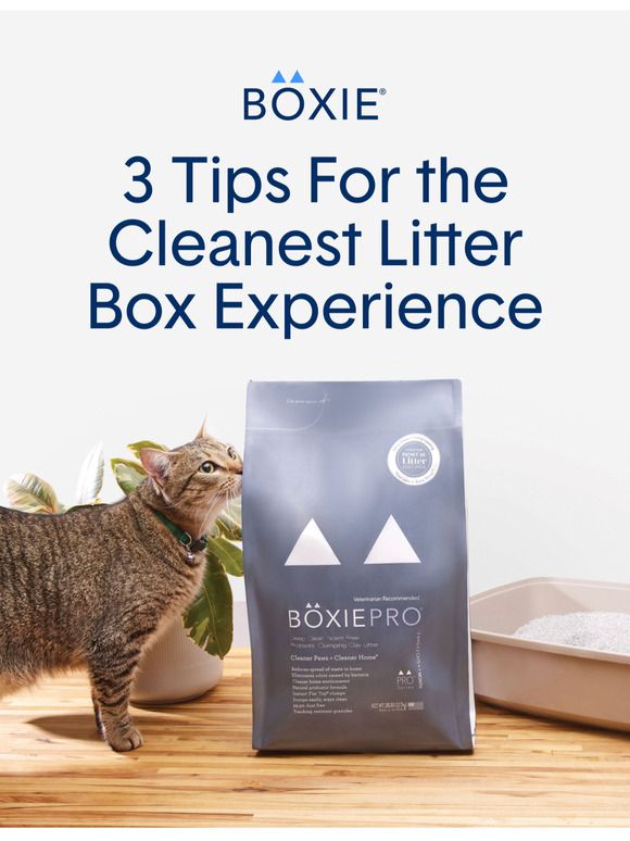 Boxie: Your Clean Litter Box Cheat Sheet | Milled
