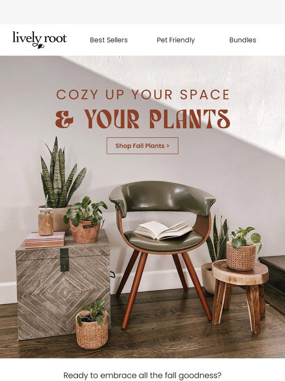 Lively Root (US): Get Your Plants Fall-Ready – It’s Time for Some TLC ...