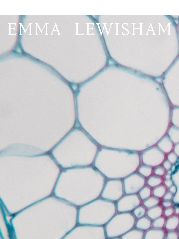Emma Lewisham: Hyaluronic acid types and benefits | Milled