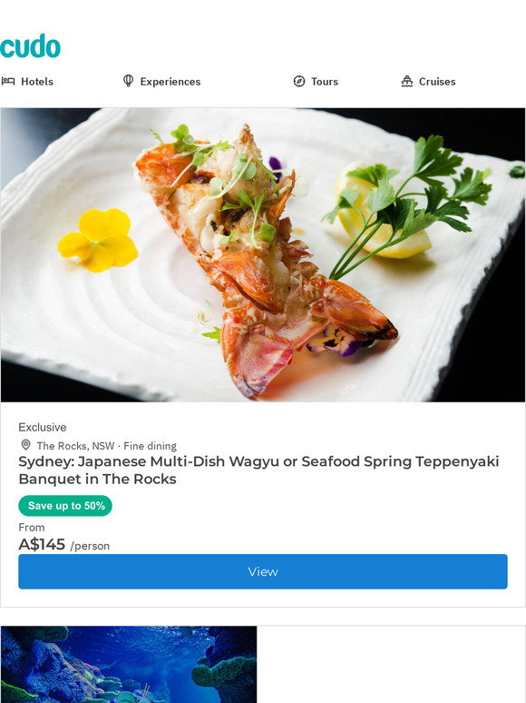 Cudo: Japanese Multi-Dish Wagyu or Seafood Spring Teppenyaki Banquet in ...