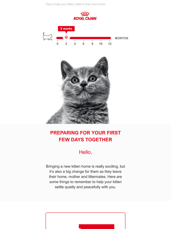 Royal Canin: Are you all set for your kitten’s first day at home? | Milled