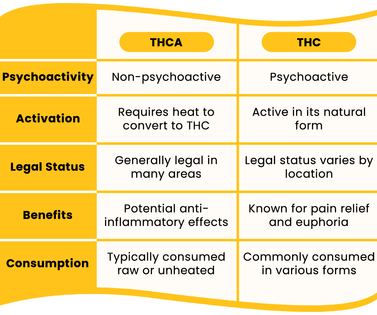 Pinnacle Hemp: Saturday Learnings: THCA vs. THC – What You Need to Know ...