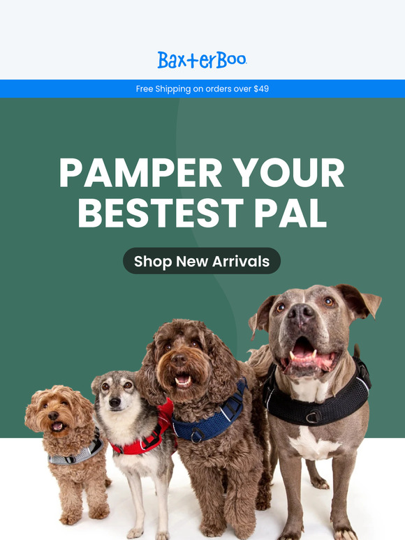 BaxterBoo: Barkin’ Good News—New Products Just Dropped! | Milled