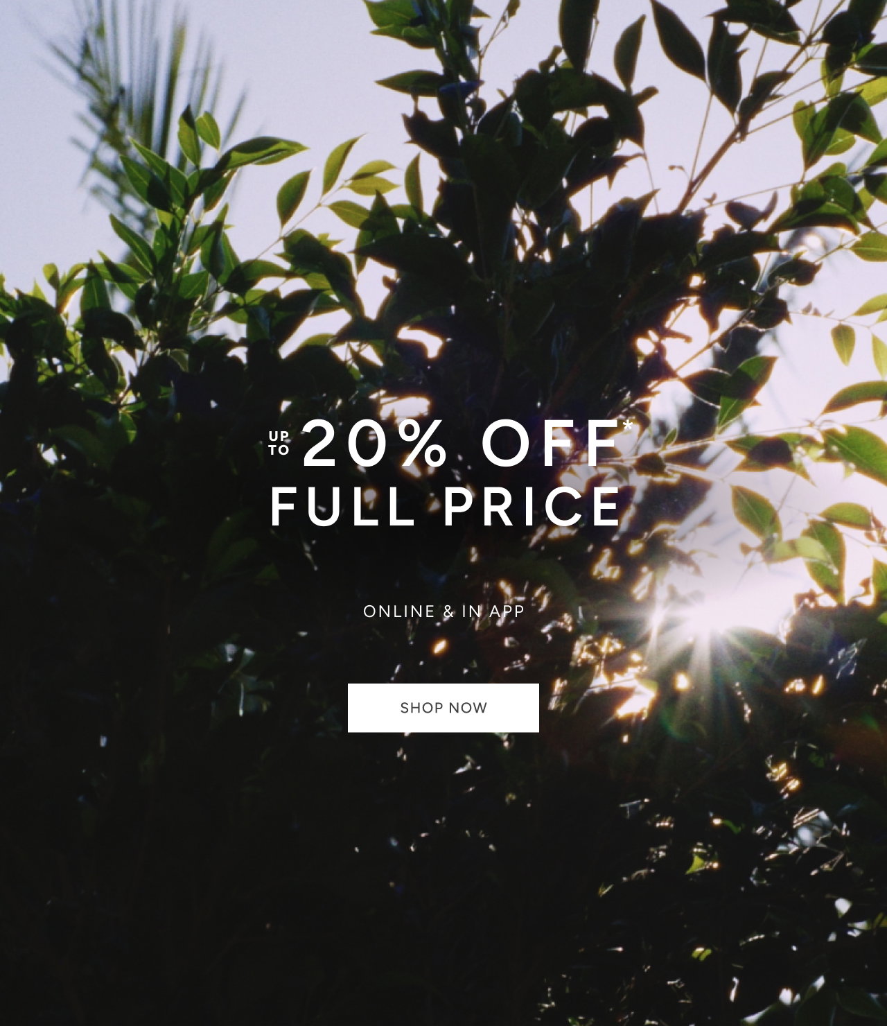 Forever New: Up to 20% off* full price styles | Milled