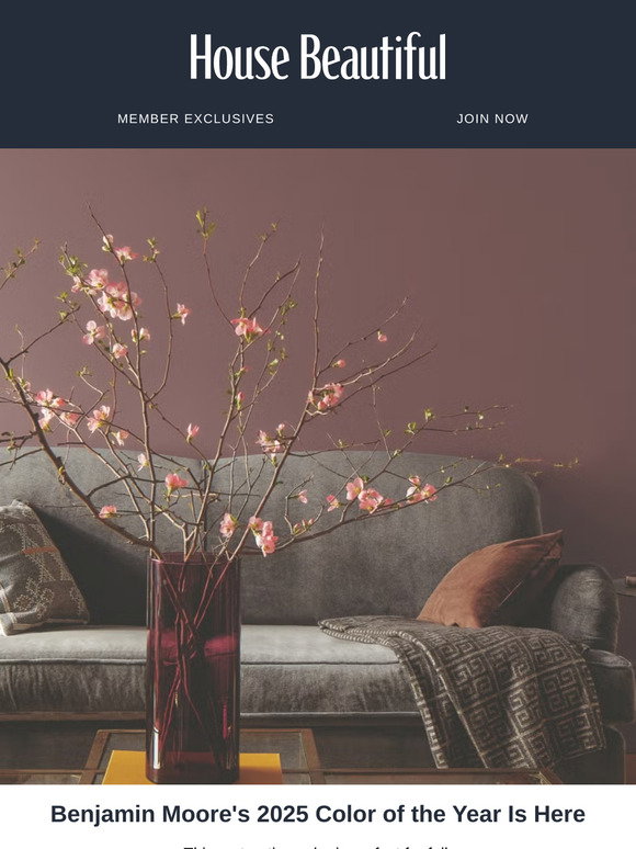 House Beautiful: Benjamin Moore's 2025 Color of the Year Is Here | Milled