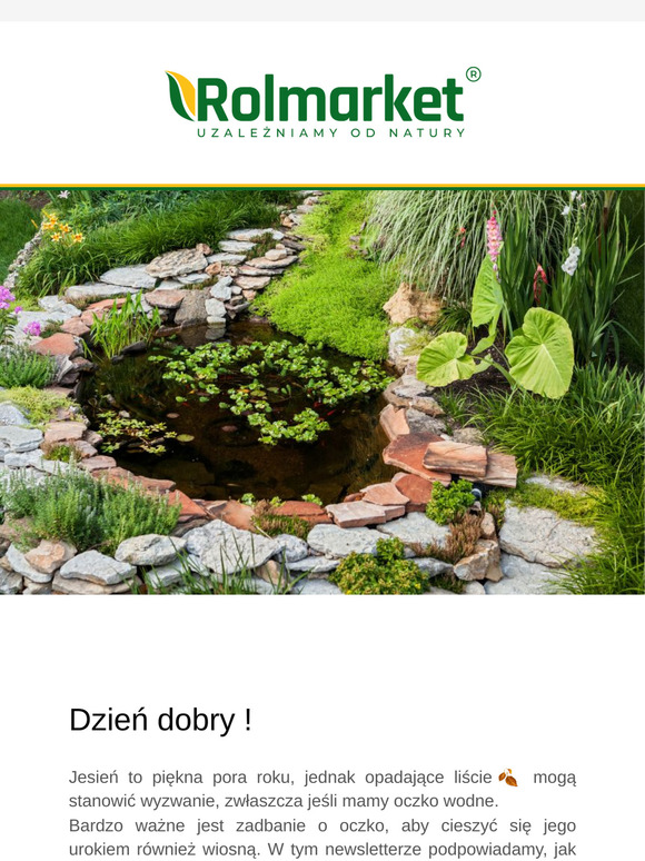 Rolmarket: 📖Poradnik: Jak zadbać o oczko wodne jesienią! | Milled