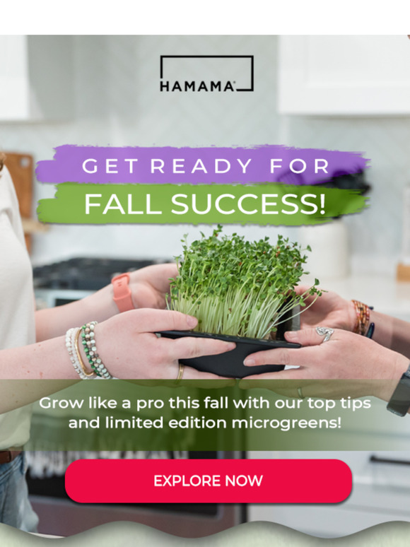 Hamama: Get Ready For Fall Success! 🌱 | Milled