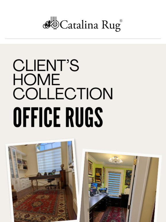Catalina Rug: See How Clients Elevate Offices with Persian Rugs! | Milled