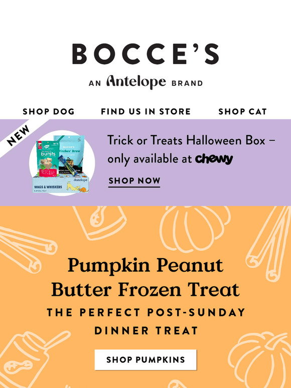 Bocce's Bakery: RECIPE: Pumpkin Peanut Butter Treat 😋 | Milled
