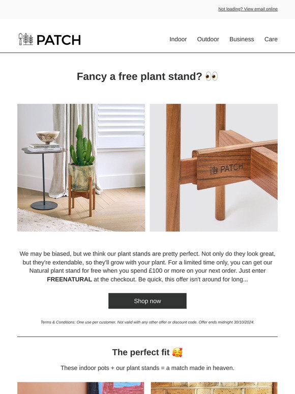 Patch Plants: Grab your free plant stand 🤩 | Milled
